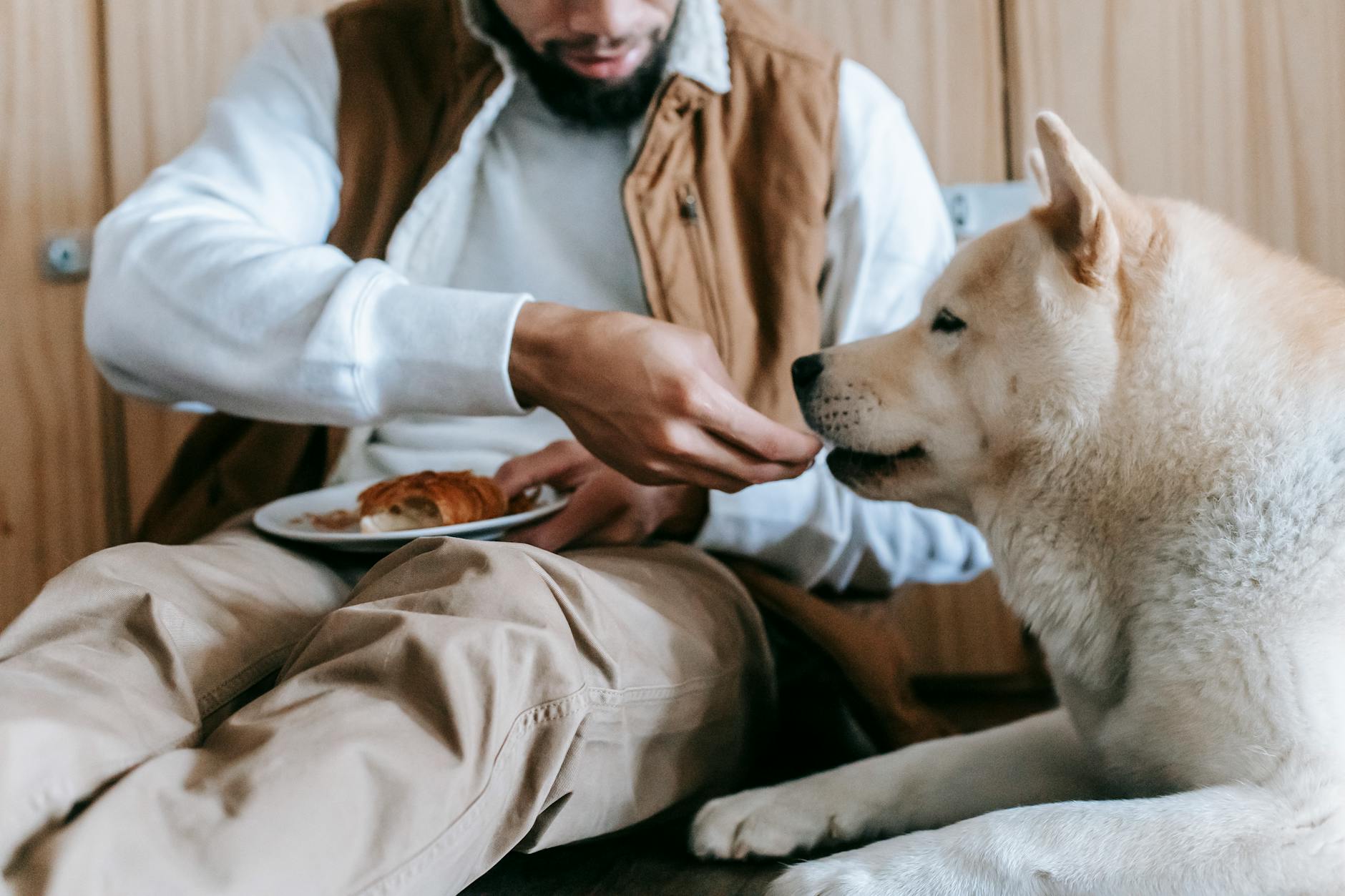 Dog Nutrition Requirements: Fueling Health in 2026