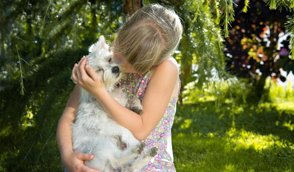 How to Keep Dog Healthy: Expert Tips 2026